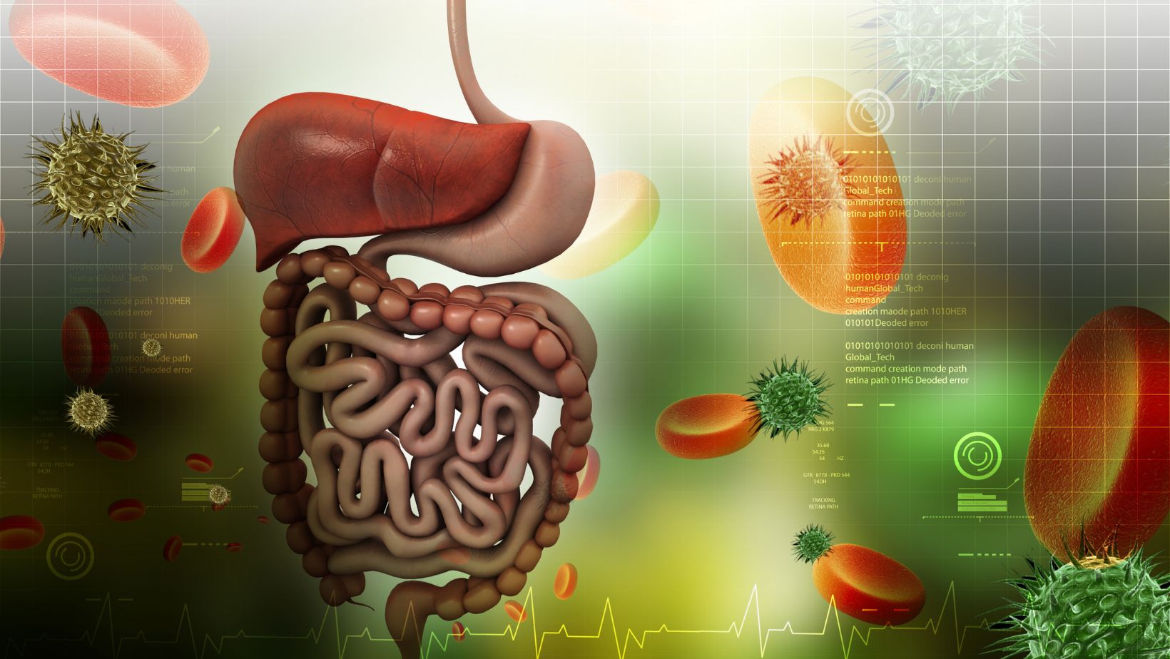 BioEnergetic Nutrition – Nourishment for the Mind Body & Soul
